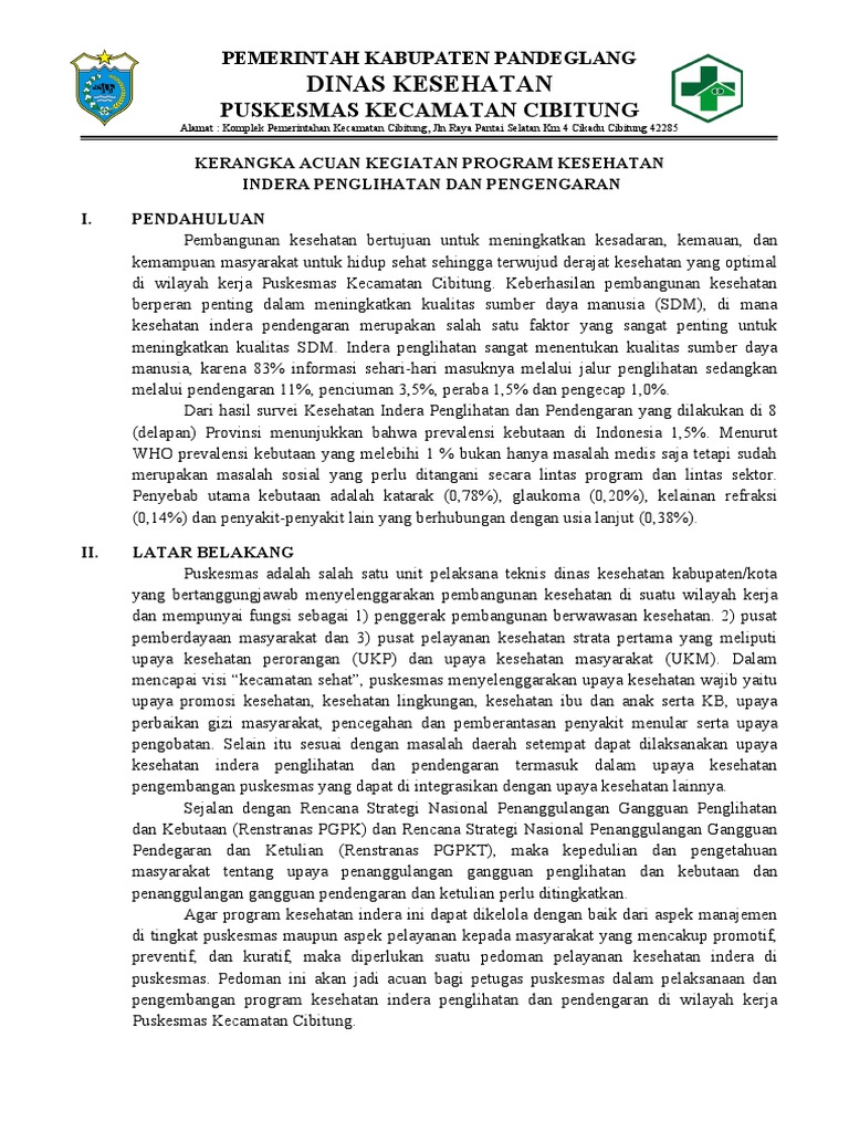 Program Kesehatan Indera | PDF