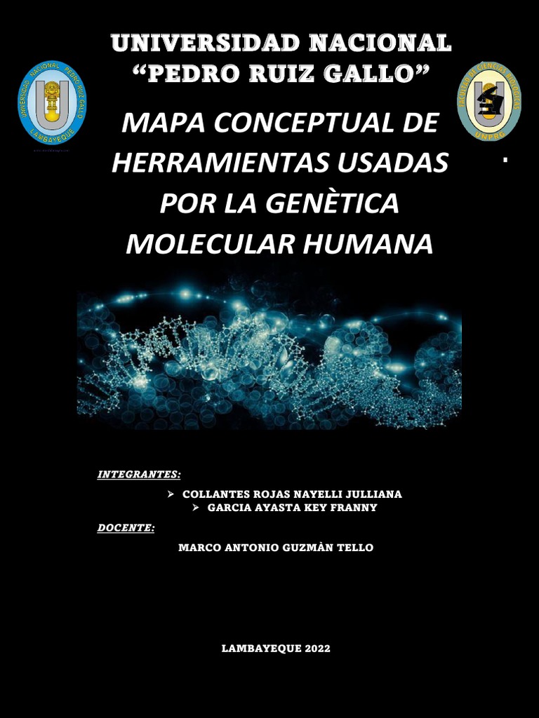 Mapa Conceptual de Genetica Molecular 2 | PDF | Adn | Replicación De Adn