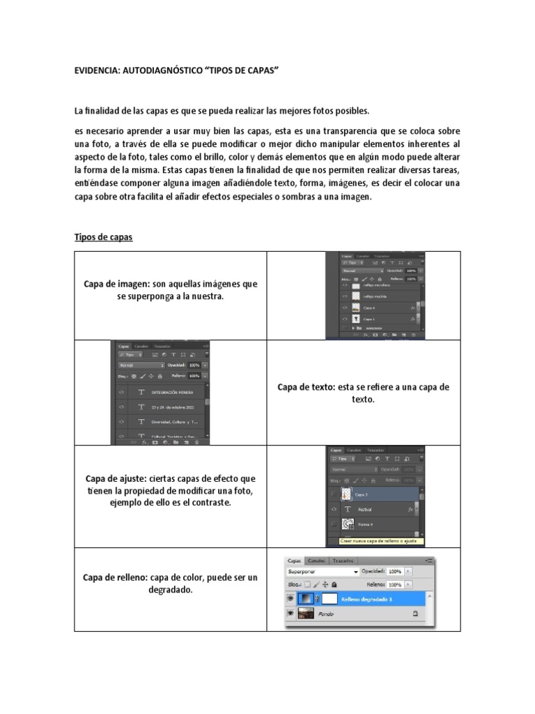 EVIDENCIA 3 Tipos de Capas | PDF