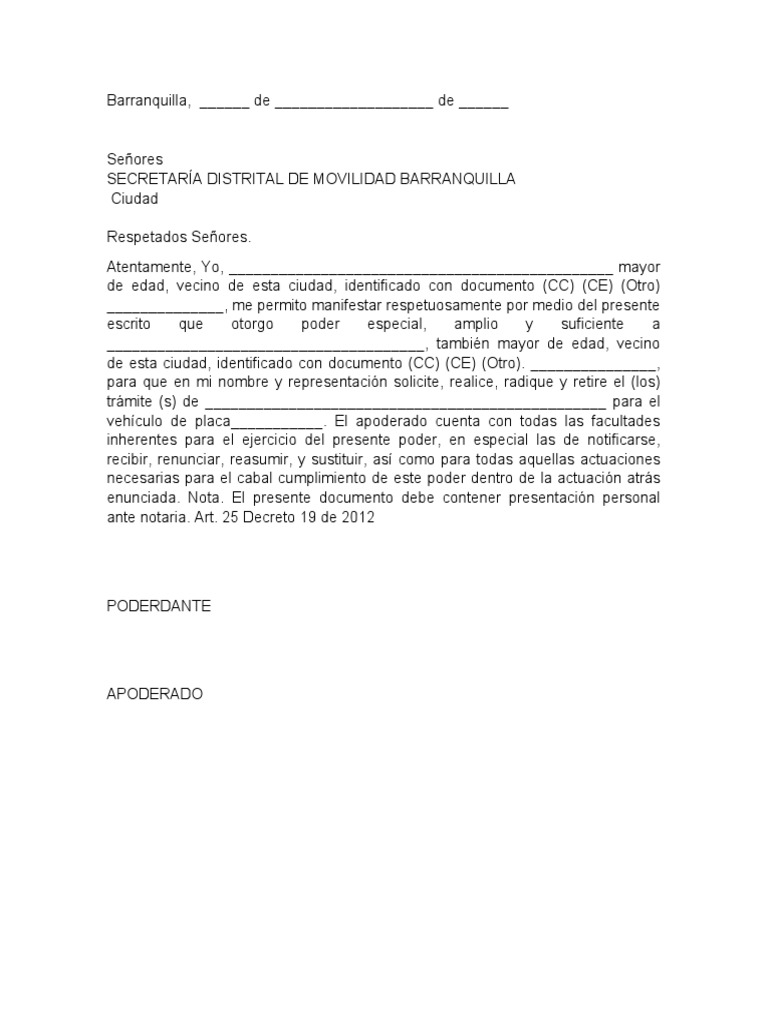 Poder Traspaso | PDF