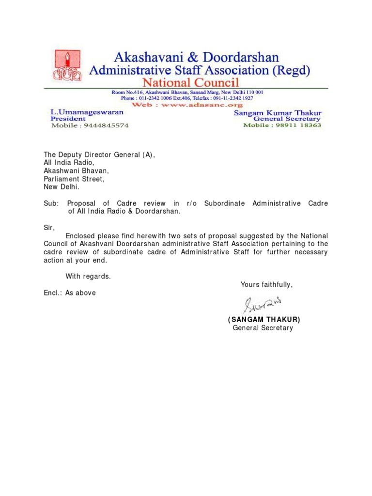 Cadre Review Report | PDF | Employment | Internal Audit