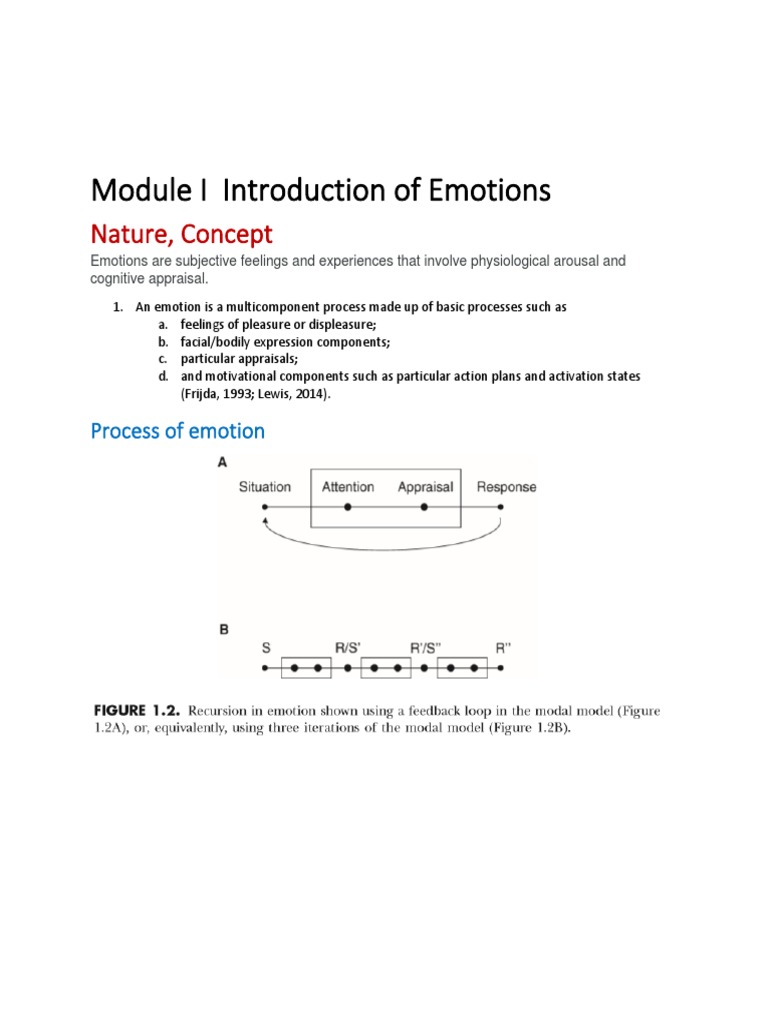 Understanding Emotion Regulation Models | PDF | Emotional Self ...