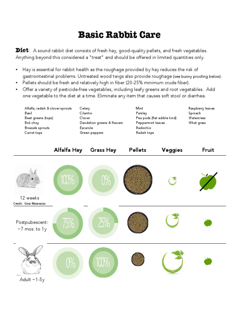 Basic Rabbit Care: (See Bunny Proofing Below) | PDF | Rabbit | Vegetables