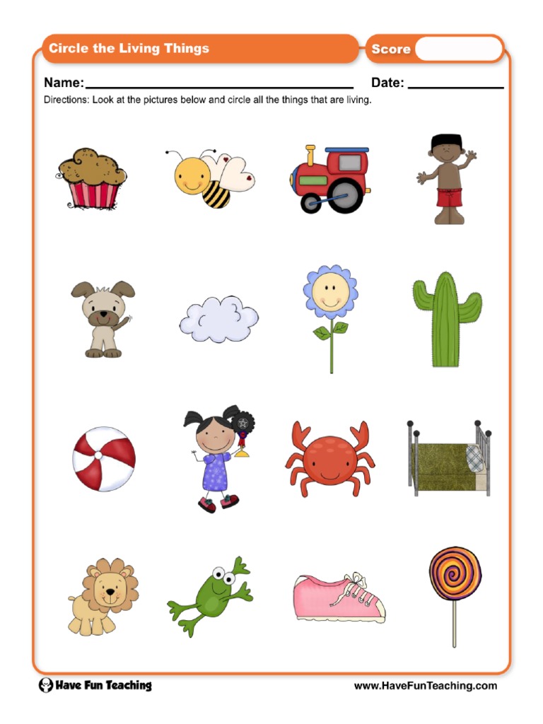 Circle The Living Things Worksheet | PDF