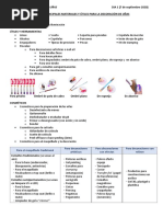 Guía de Polygel | PDF | Clavo (anatomía)