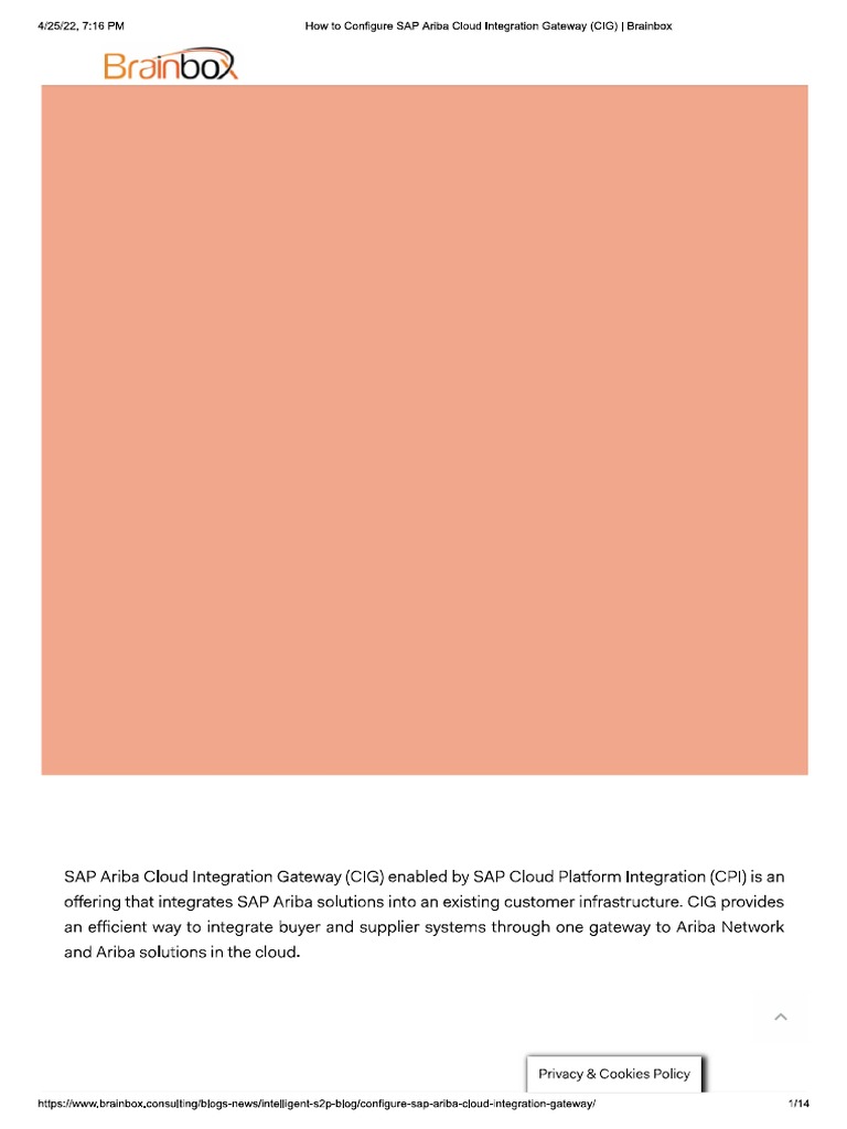 How To Configure SAP Ariba Cloud Integration Gateway (CIG) - Brainbox | PDF