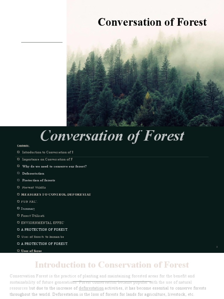 Importance of Forest Conservation | PDF | Deforestation | Soil