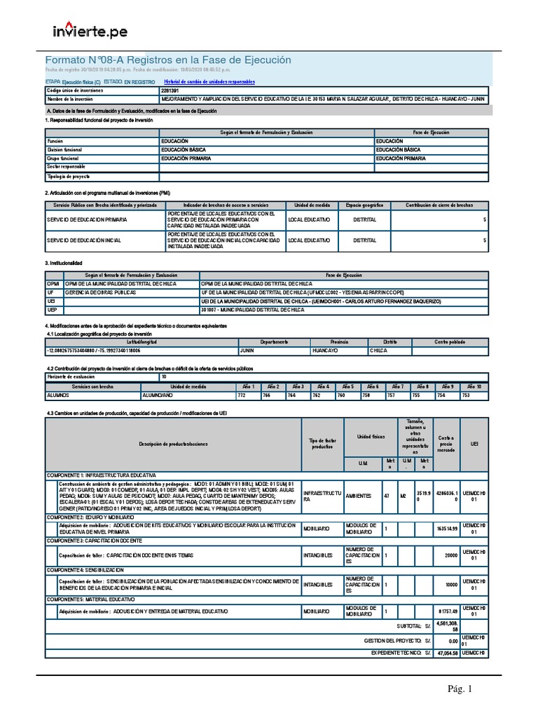 Ie 30153 - Formato 8a | PDF | Economias
