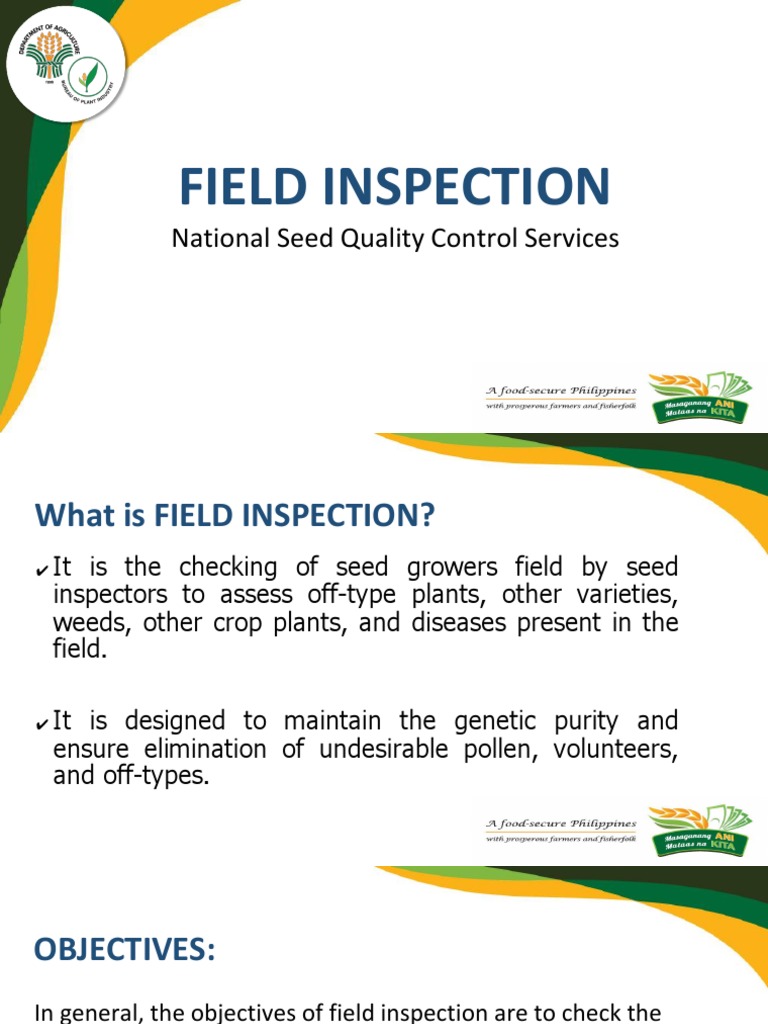Seed Field Inspection Guidelines | PDF | Flowers | Seed