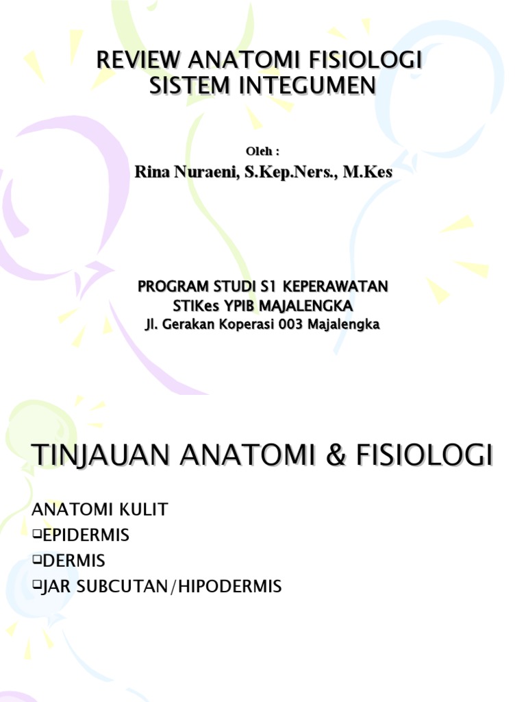 Anfis Integumen Idk | PDF