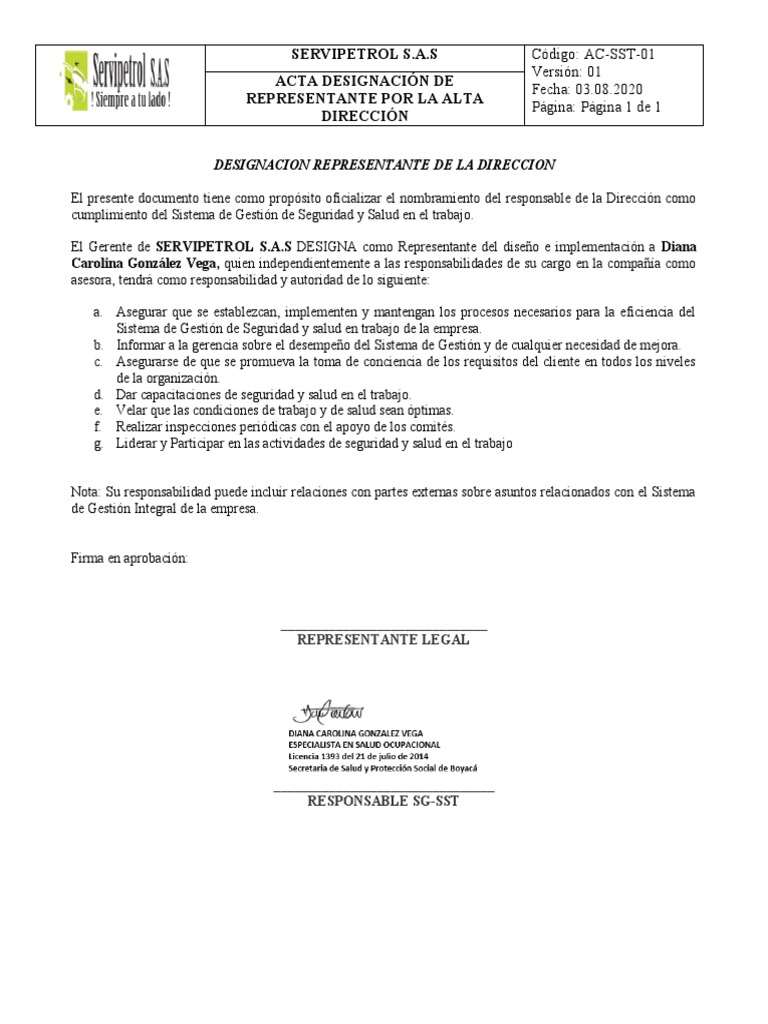 Carta Designación Representante | PDF