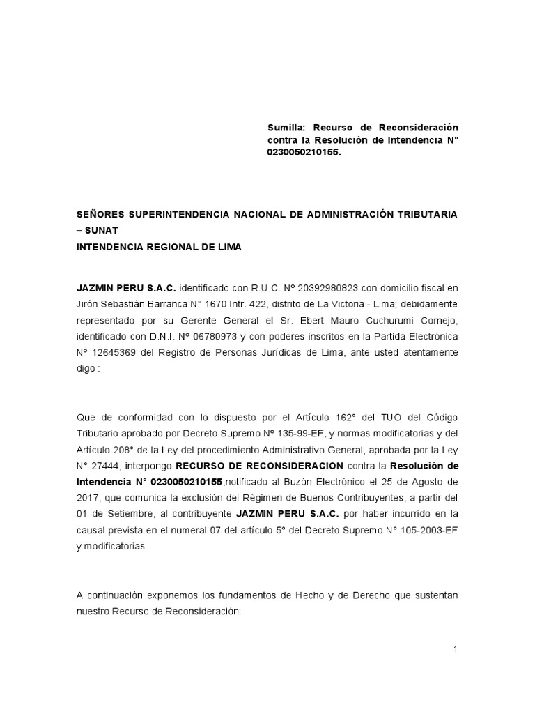 Jazmin Recurso de Reconsideracion | PDF | Gobierno