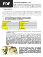 Suturas Do Crânio Resumo | PDF | Anatomia | Anatomia humana