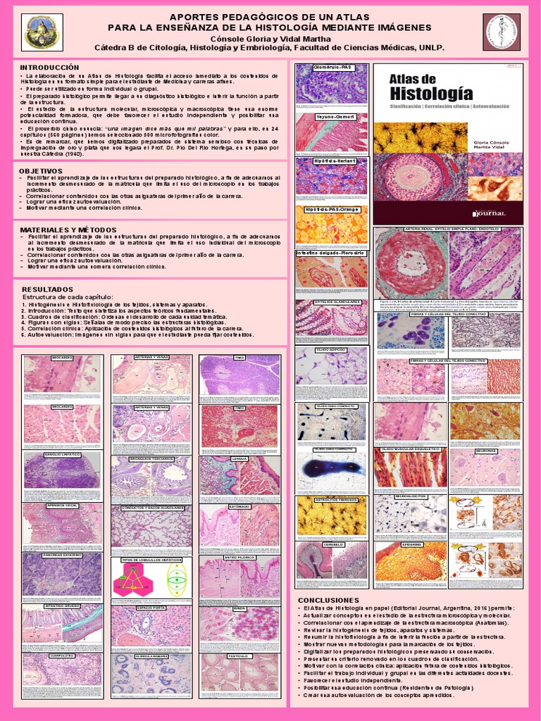 HISTOLOGIA Póster | PDF | Histología | Tejido conectivo