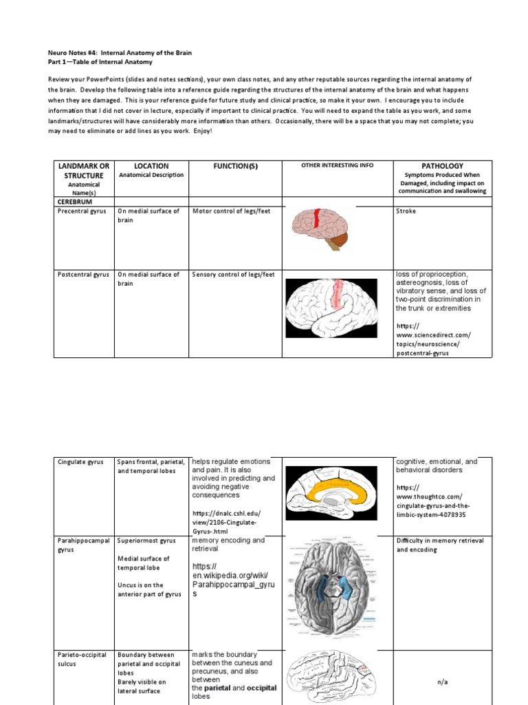 Assignment--Neuro Notes #4--Internal Anatomy--part 1--table(1) | PDF ...