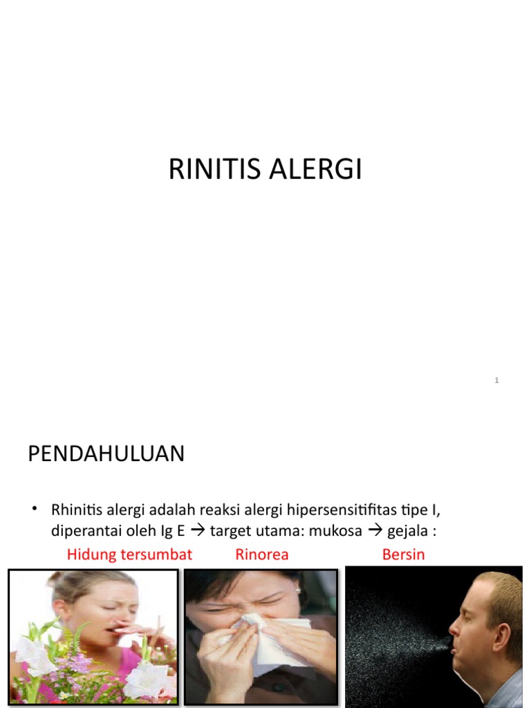 Rhinitis Alergi | PDF