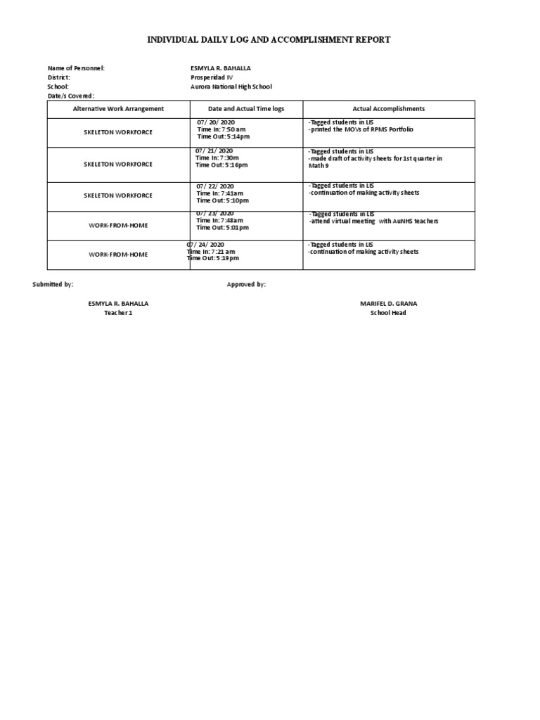 Individual Daily Log | PDF