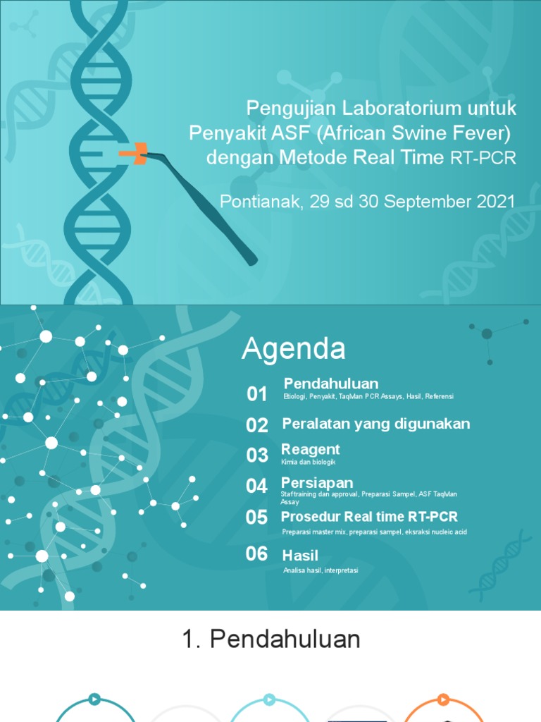 Pengujian ASF dengan Real Time RT-PCR | PDF