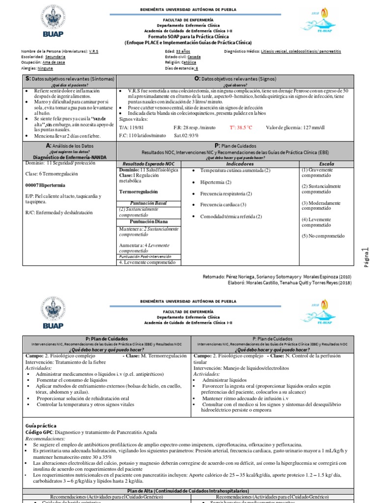 Reyes Hernandez Andrea - Formato SOAP | PDF | Termorregulación | Enfermería