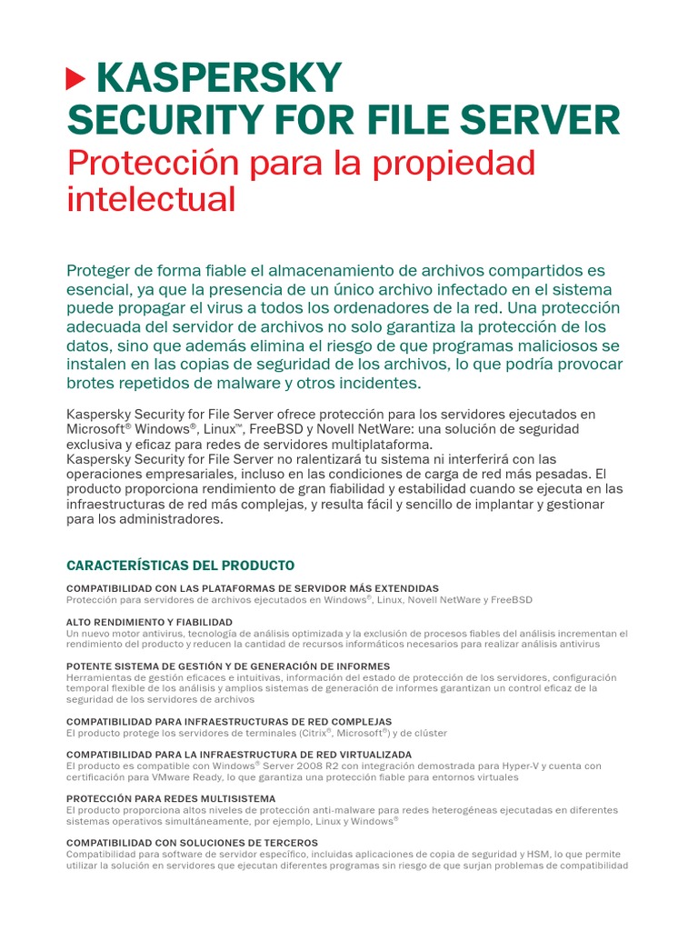 File Server Datasheet | PDF | Microsoft Windows | Servidor (Computación)