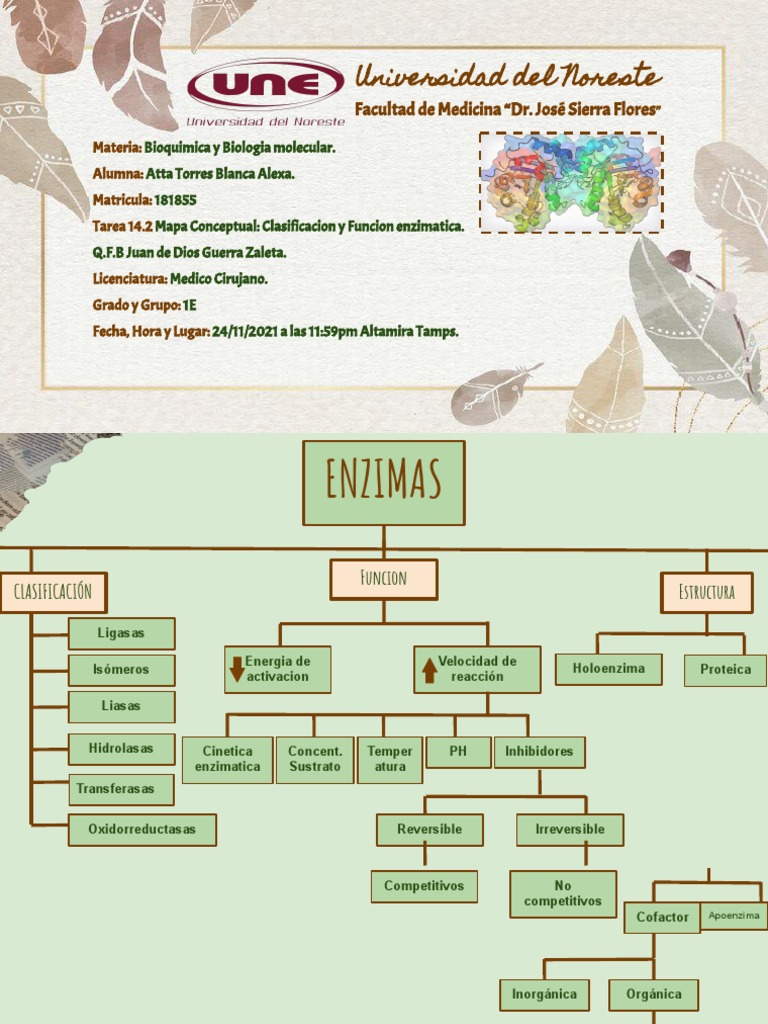 Clasificacion y Funcion Enzimatica. | PDF