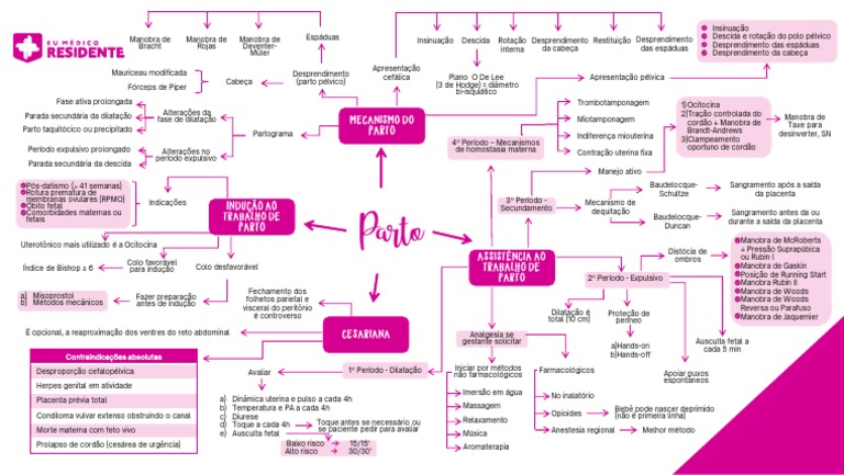 Mapa Mental Parto 2 | PDF | Parto | Gravidez humana
