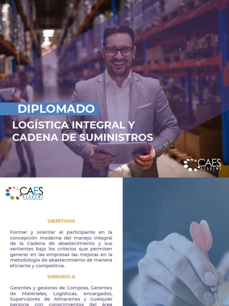 Dip Logistica Int | PDF | Logística | Gestión de la cadena de suministro