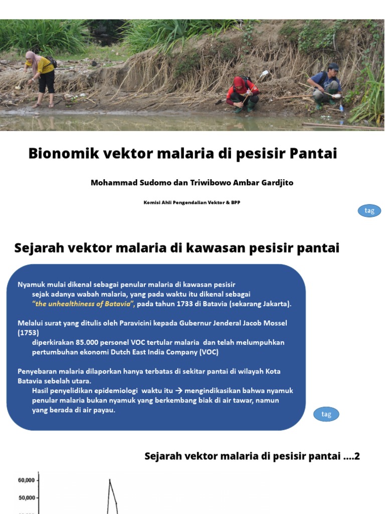 Bionomik Vektor Malaria Di Pesisir Pantai | PDF