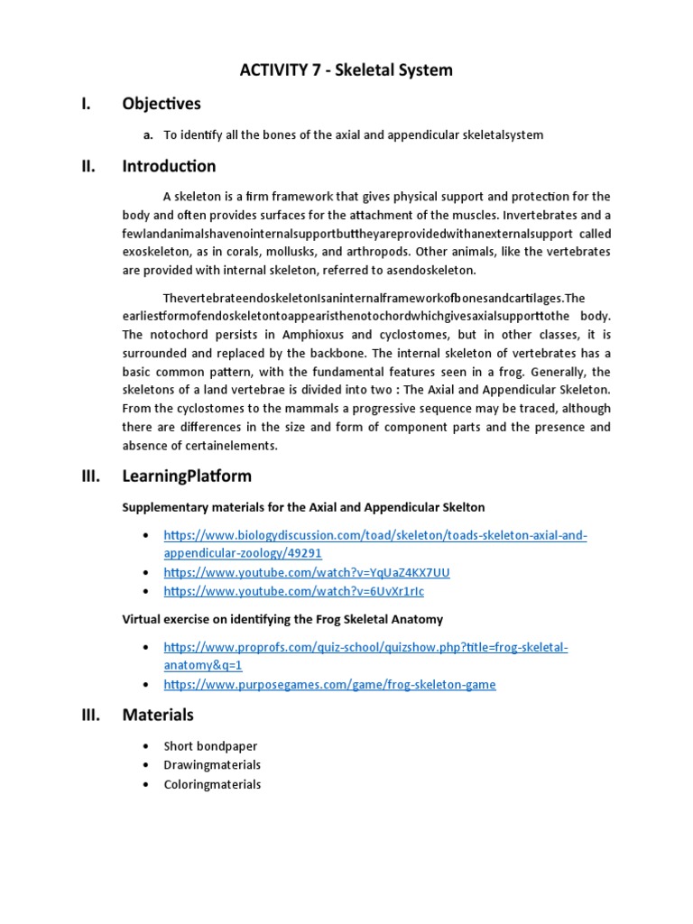 ACTIVITY 7 Skeletal System | PDF | Skeleton | Vertebra