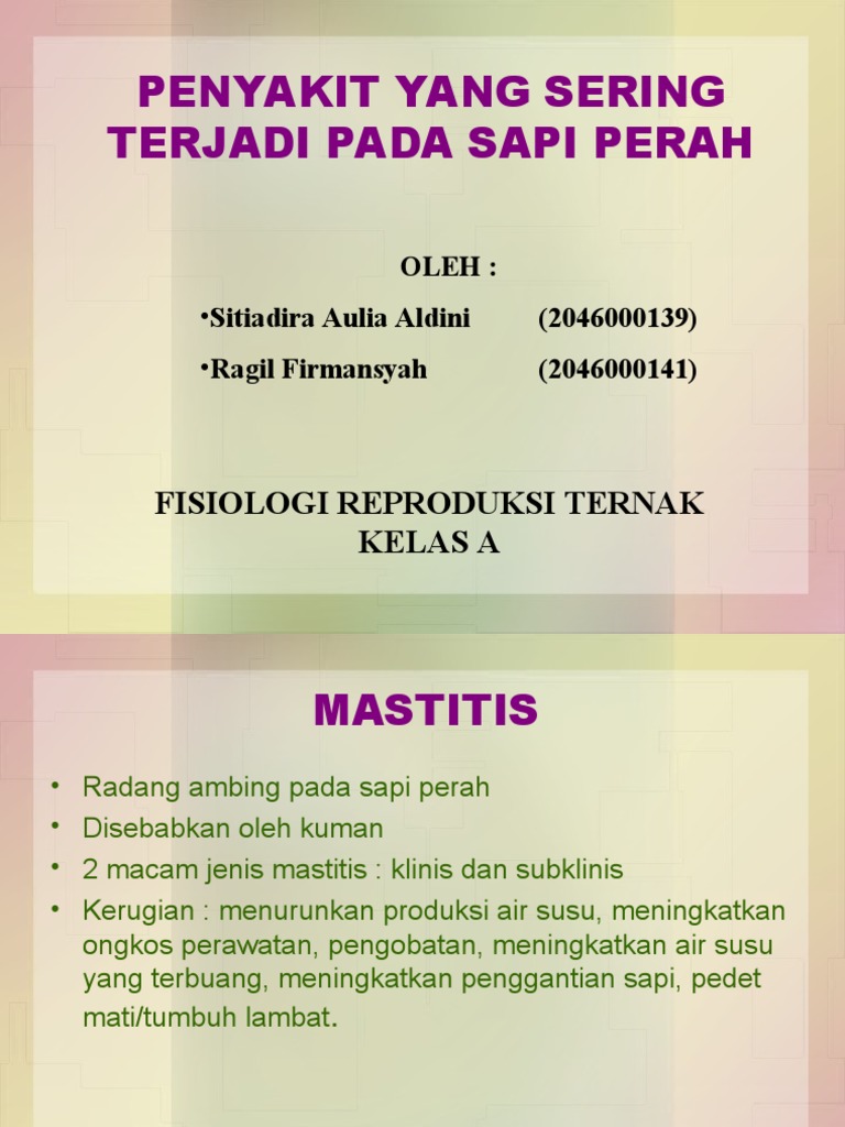 Penyakit Umum pada Sapi Perah | PDF