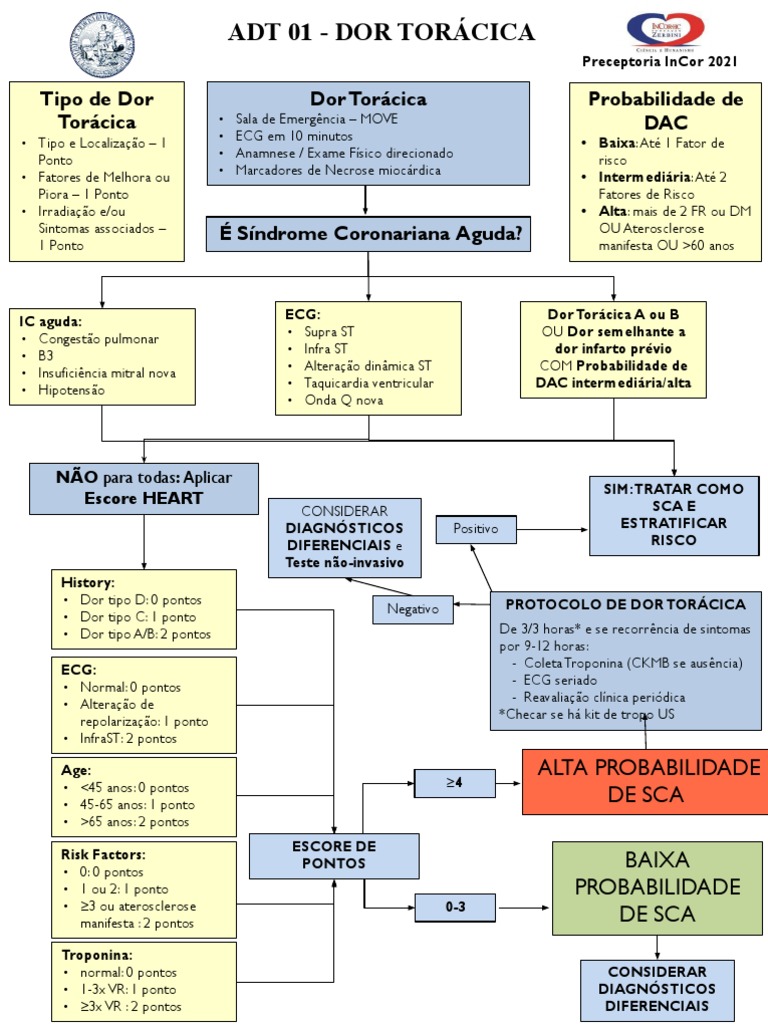 Adts Incor 2021 | PDF