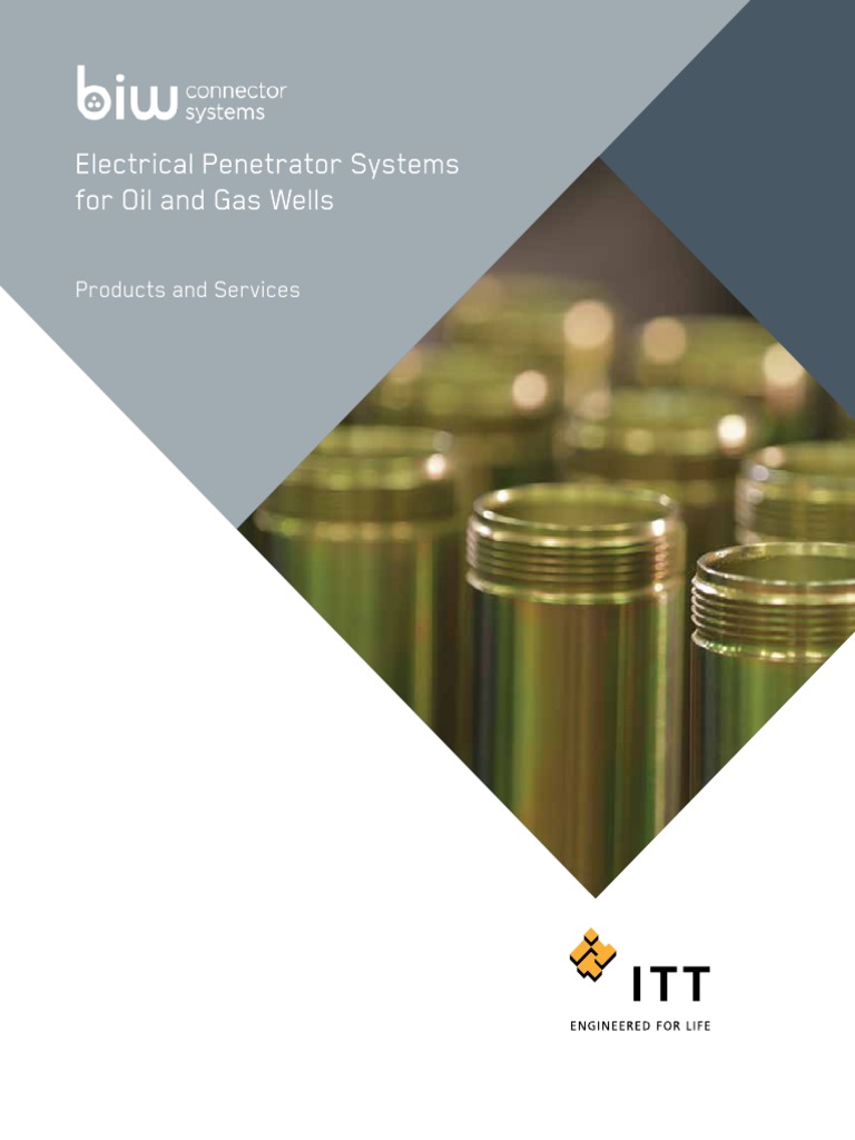 BIW Products and Services (4 - 13 - 17) | PDF | Electrical Connector ...