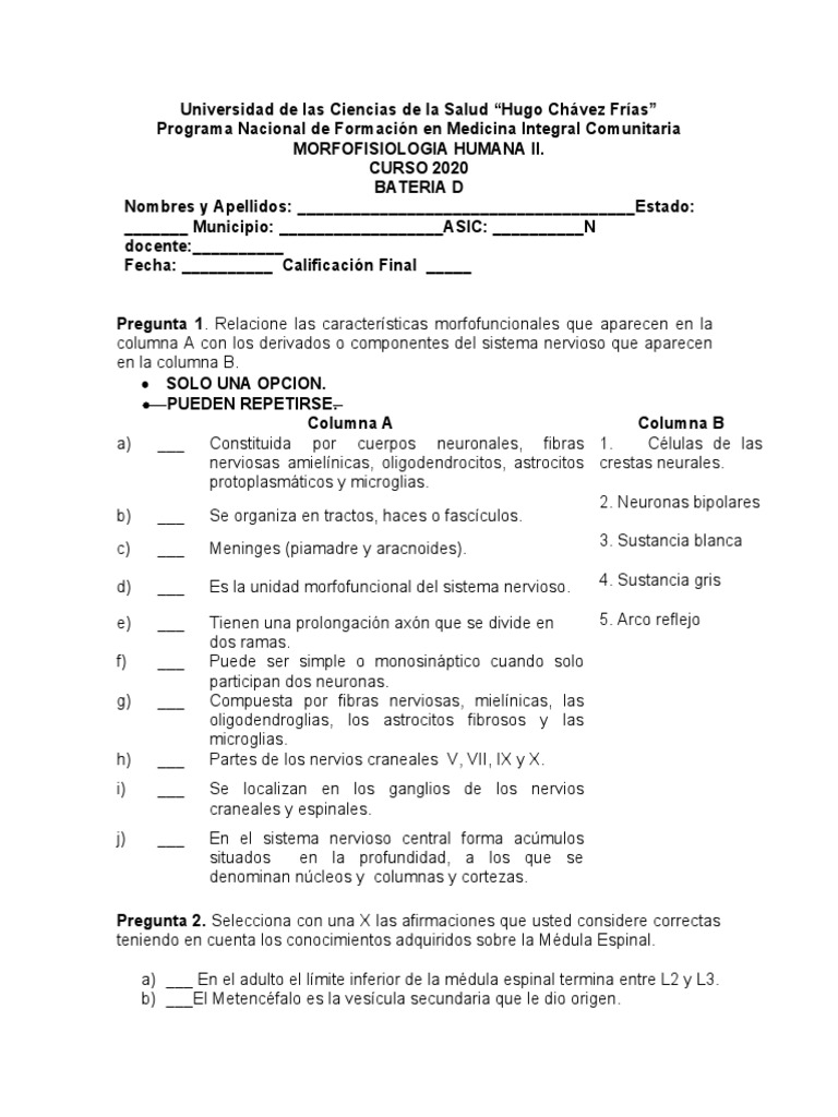 Morfo 2 Sample VIII | PDF | Cerebro | Sistema nervioso central