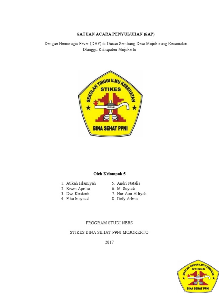 Sap DBD + Leaflet | PDF