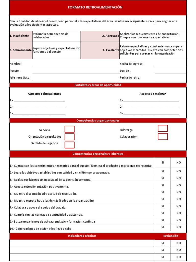 Formato Retroalimentación | PDF | Evaluación | Business