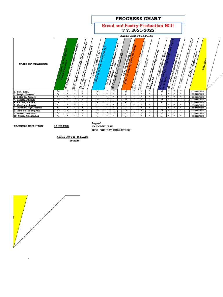 Progress Chart and Achievement Chart | PDF