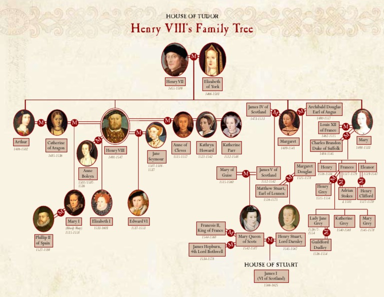 Family Tree Of The Tudors Henry Viii Family Tree To Present, 60% OFF