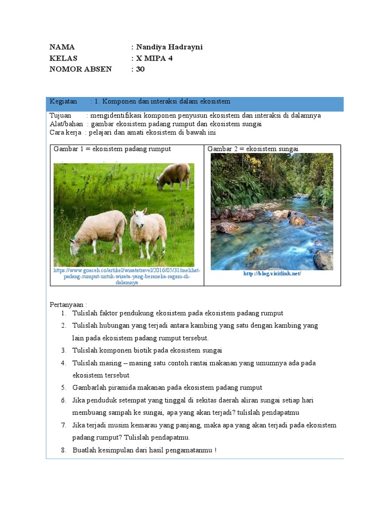 LKPD Ekosistem | PDF