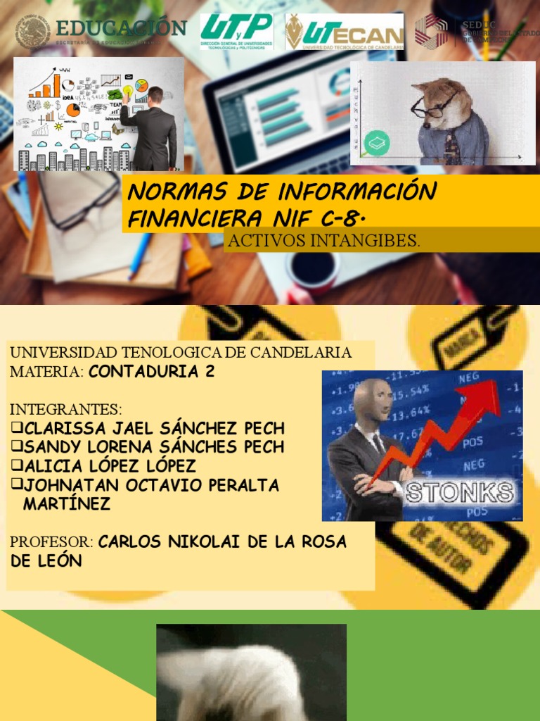 NIF C-8: Activos Intangibles y Normas | PDF | Activo intangible | Business