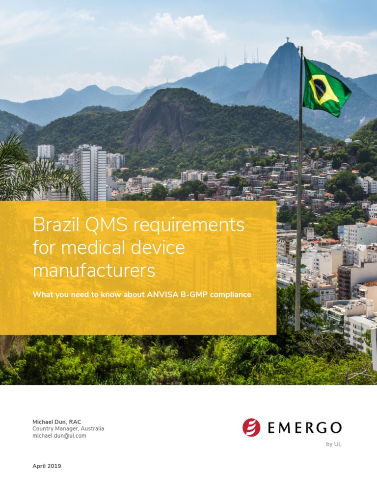 BR BGMP Requirements White Paper EMERGO | PDF | Medical Device ...