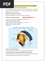 Piping Interview Questionnaire | PDF | Valve | Pipe (Fluid Conveyance)