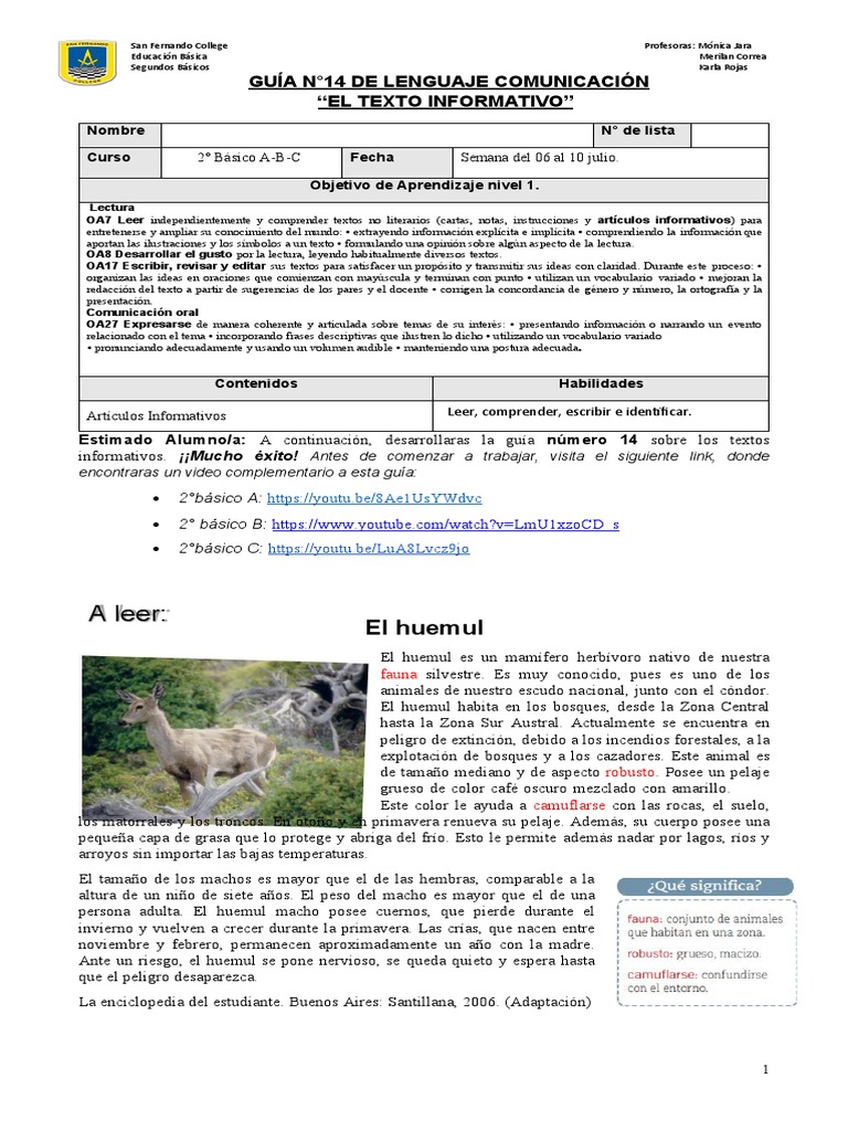 2°básico Guía N°14 Lenguaje y Comunicación Texto Informativo | PDF | Piel