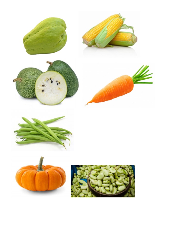 Wiskil Elote Haba | PDF