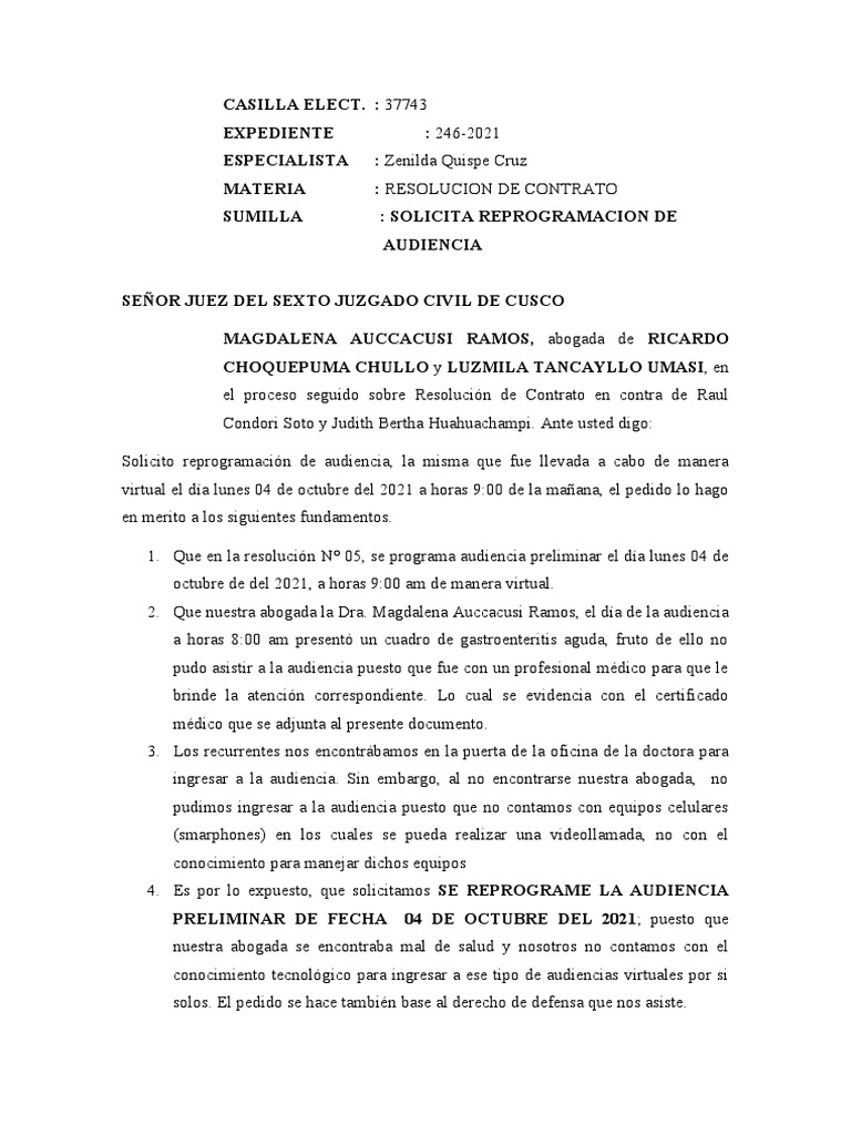 Escrito Reprogramacion | PDF | Justicia | Crimen y violencia