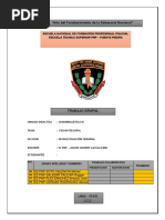 Pelmatoscopia Forense | PDF | Pie | Huella dactilar