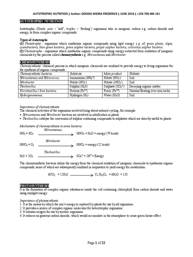 Autotrophic Nutrition | PDF | Photosynthesis | Leaf