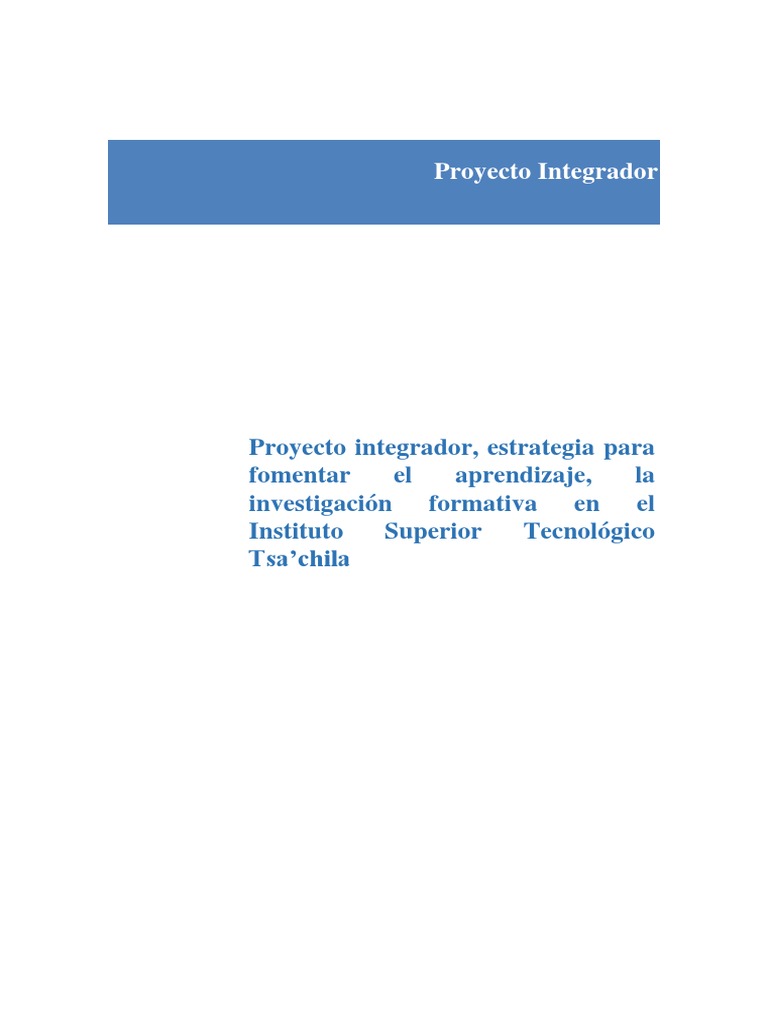 Instructivo para La Elaboración de Los Proyectos Integradores | PDF ...
