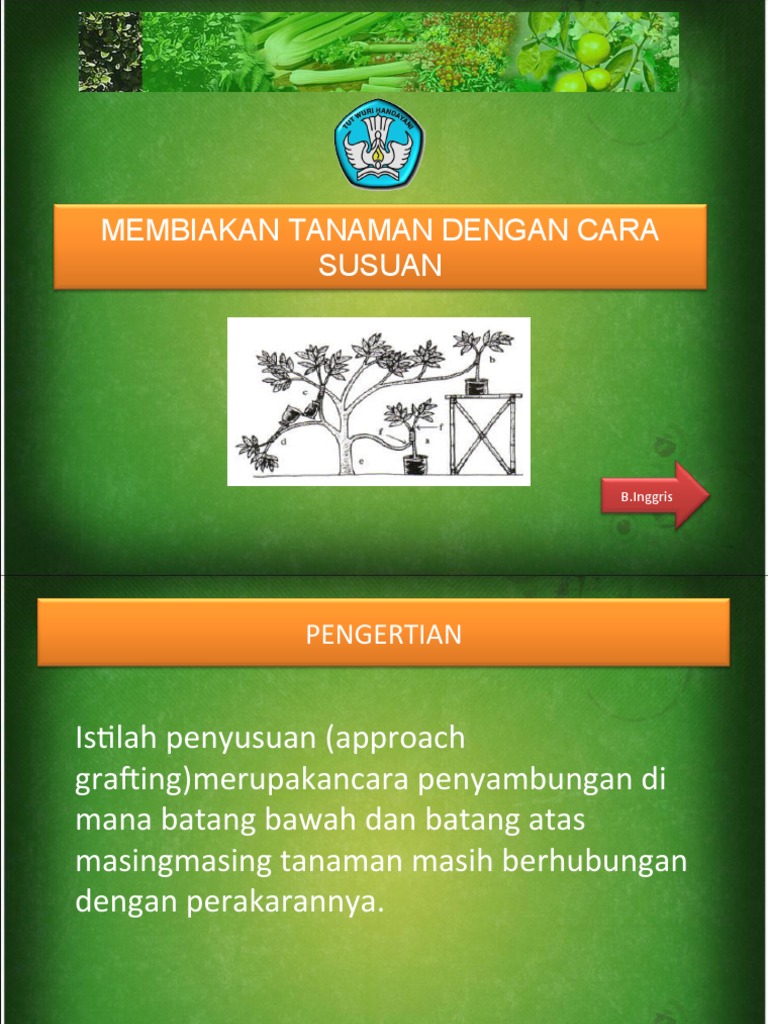 Membiakan Tanaman Denan Cara Susun | PDF