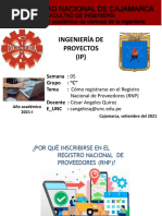 2 RNP - Inscripcion de Consultor y Ejecutor de Obras y Llenado de Formulario | PDF | Business ...