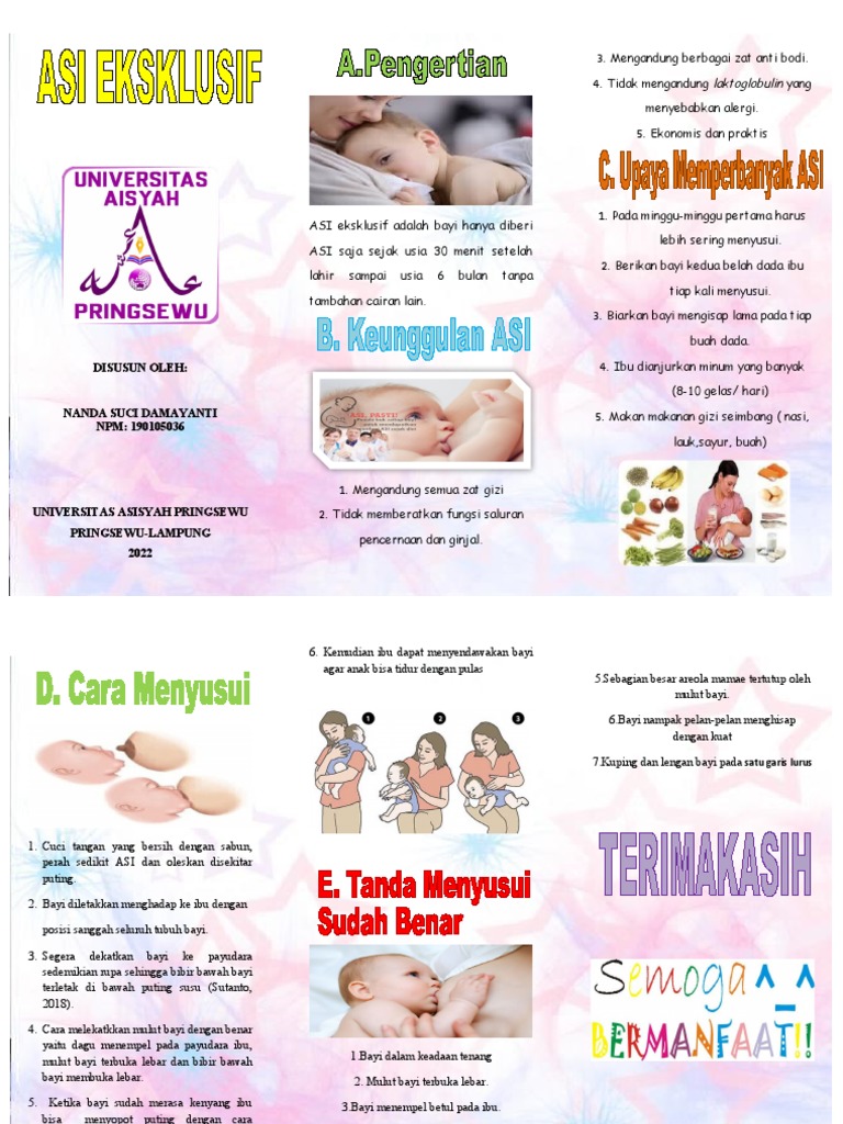 Leaflet Asi Eksklusif | PDF